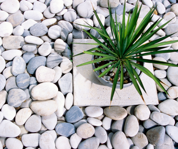 How to Get Rid Of Landscaping Rocks - Clearing the Way: A Comprehensive ...