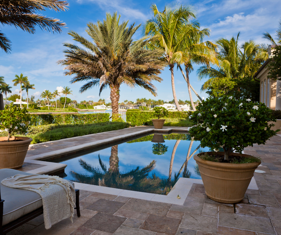 Best Trees to Plant Around a Pool